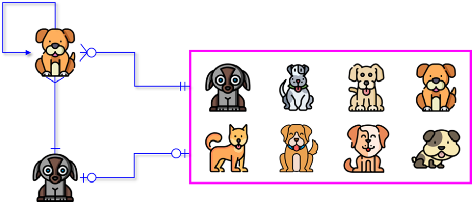 Unravelling the DNA of Data Analytics: The Fibonacci Sequence - exposé